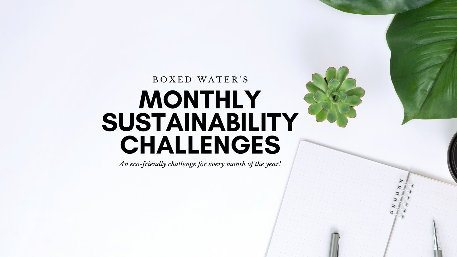An Eco-Friendly Challenge For Every Month of the Year – Boxed Water Is ...