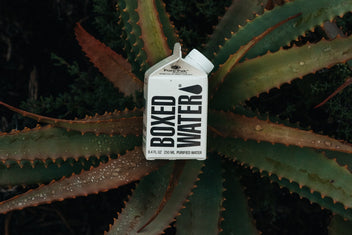 250ml Boxed Water – Boxed Water Is Better
